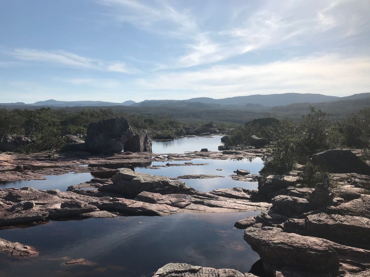 BRAZIL – Brandon the Gallant