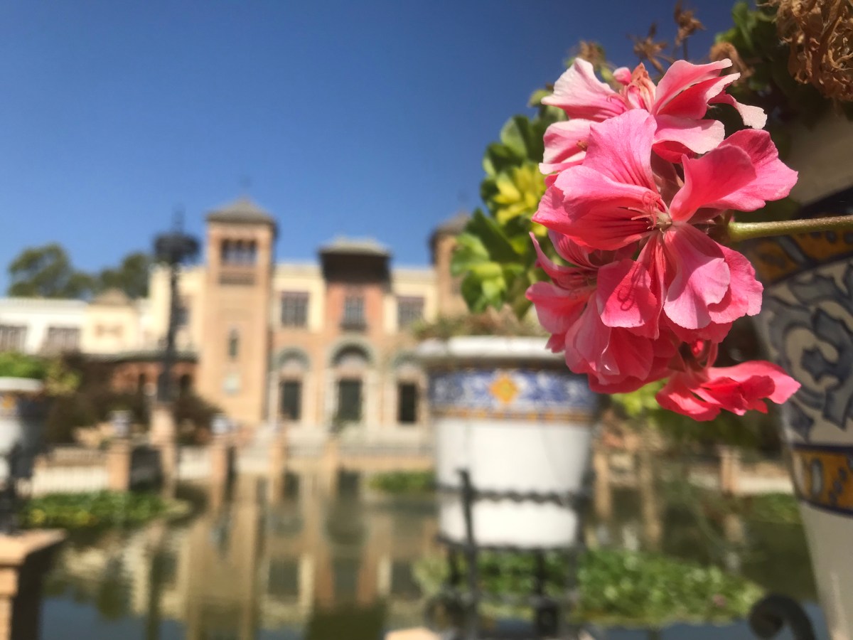 SPAIN – Brandon the Gallant